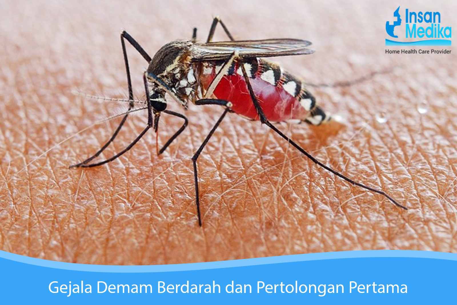 Gejala Demam Berdarah dan Pertolongan Pertama - Blog Insan Medika